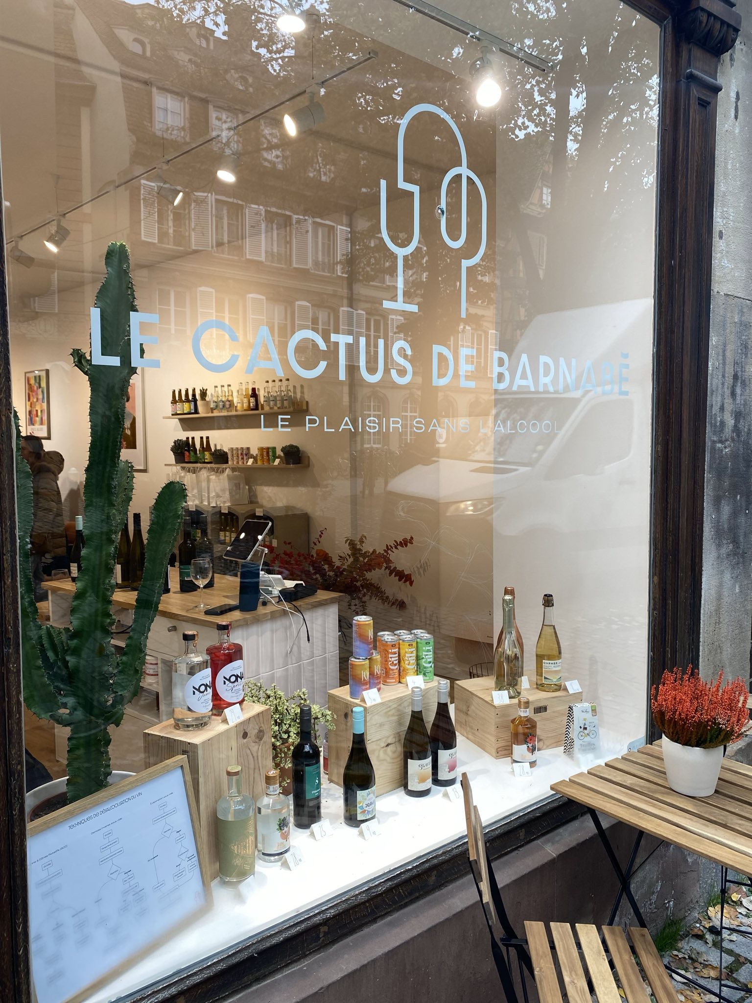 Le cactus de Barnabé - La première cave sans alcool en Alsace - Le ...